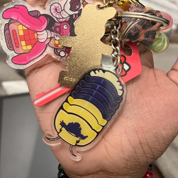 Isopod Artwork Acrylic Keychains Acrylic Cubaris Porcellio 20 Species ...