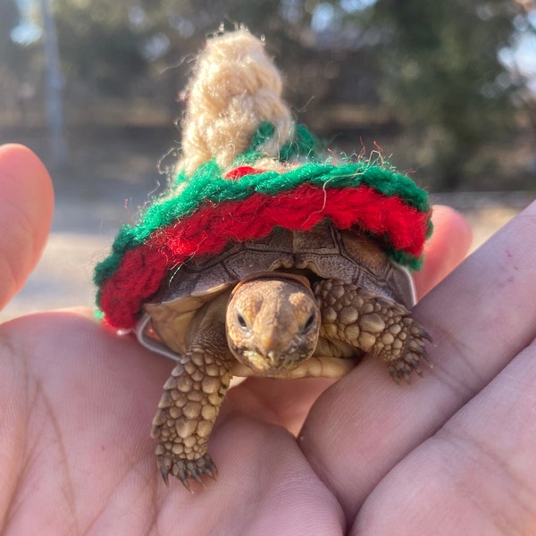 Mariachi Sombrero Turtle/tortoise Costume - Etsy