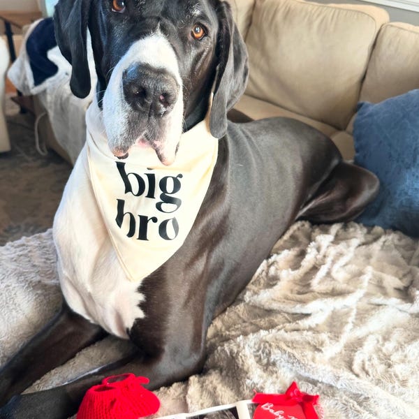 The Big ONE Shirt, Surfer Themed Party, Wave, First Birthday, Bday Boy ...