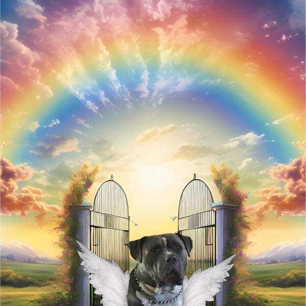 Pet Heaven Pet Loss Memorial Background Backdrop , Fields Rainbow ...
