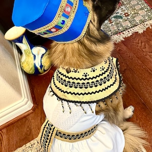 Dog Doctor Lab Coat Costume, Doctor Lab Coat Dog Costume, Pet Doctor ...