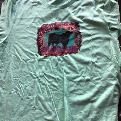 Polish Rabbit Svg Clipart - Etsy