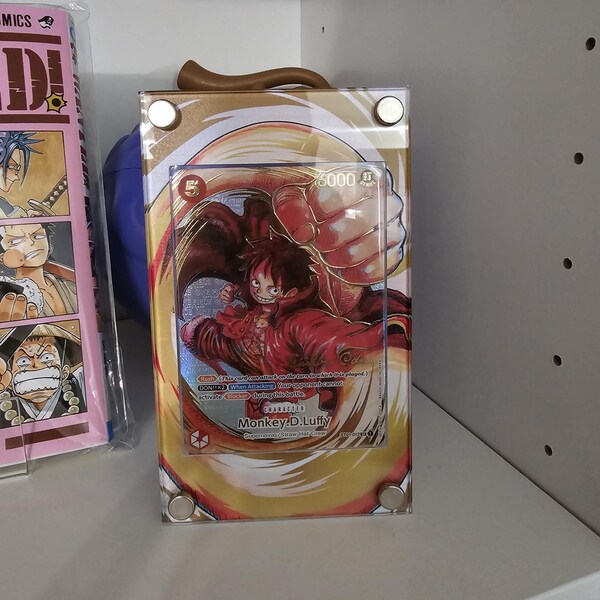 Silvers Rayleigh Manga Custom One Piece Display Case - Etsy
