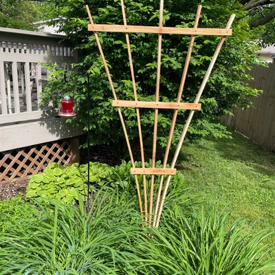 Garden Fan Trellis Plans / Garden Trellis / Trellis Plans / DIY Garden ...