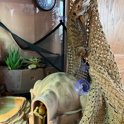 Reptile Climbable Wall Climbing Wall for Reptiles Reptile Climbable ...