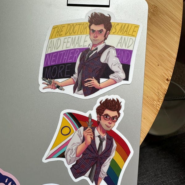 Pride Flag 14th Doctor Sticker, David Tennant, Doctor Who, Fourteenth ...