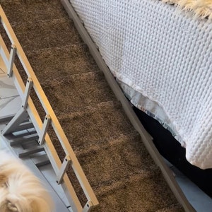 Pet Ramp With Foldable Rails 4 Height Levels Adjustable Steps - Etsy