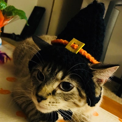 Witch Cat Hat, Witch Hat for Cats, Halloween Cat Costume, Halloween Hat ...