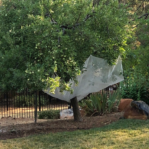 10' X 10' Fruit Tree Catcher for Better Home Gardening & Growers ...