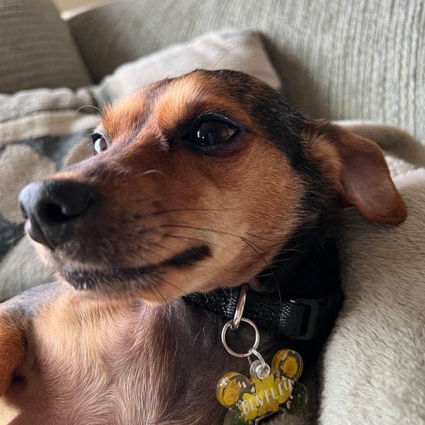 Matching Dog Tags and Keychain | Custom Dog Tag | Resin Dog Tag ...