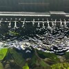 Fluval Flex Spray Bar and Control Valve (32.5 Gallon), Water Movement ...