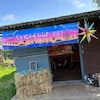Coachella Style Festival Sign, Party Signs - Etsy UK