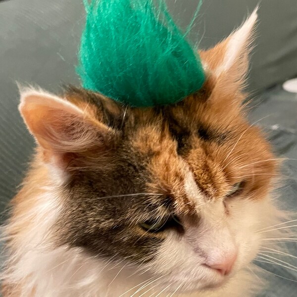 Cat Mohawk - Etsy