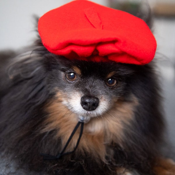 Red Beret Hat for Dog or Cat With Adjustable Elastic - Etsy