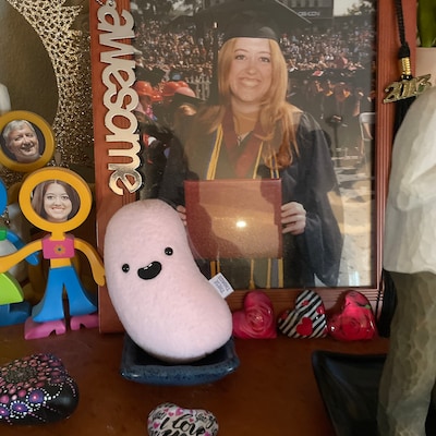 Jelly Bean Plushie // Six Color Choices // Plush Toy - Etsy