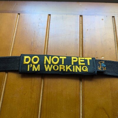 POTS Awareness Embroidered 2x4 Rectangle Patch - Etsy