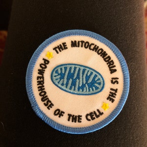 Tush and Kush Embroidered Patch Iron on Patch Sew on Patch | Etsy