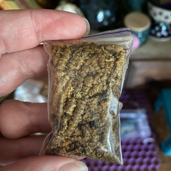 Black Soldier Fly ( BSF ) Larvae - Protein | Hermit Crab Food Grubs - Etsy