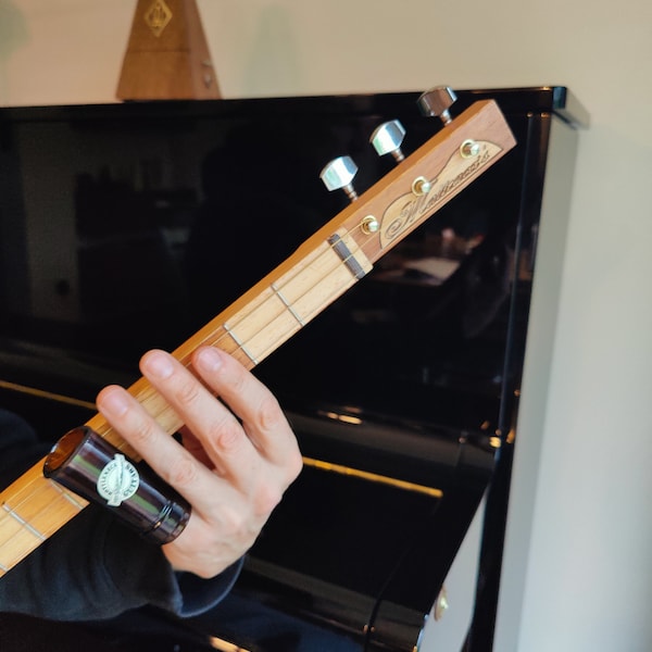 Blues Master Diddley Bow 2 String Mono String Matteacci's - Etsy