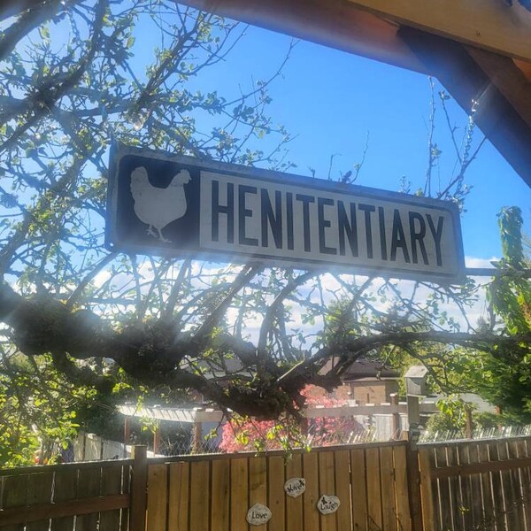 Henitentiary Sign, Chicken Coop Signs, Chicken Coop Decor, Chickens ...