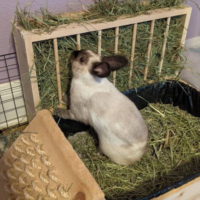 Large Hop Box: Rabbit Bunny Hay Feeder and Litter Pan Combo, Sifting ...