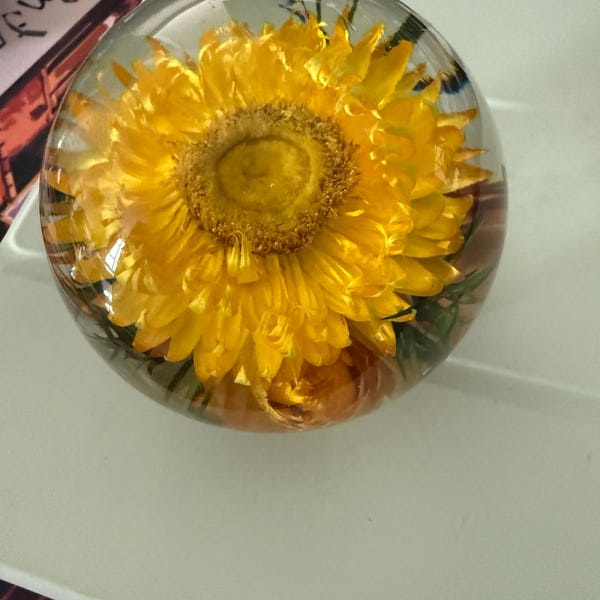 Sunflower Epoxy Lamp, Crystal Daisy Night Lamp, Dried Flower Resin ...