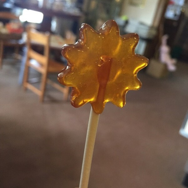 Maple Lollipops Package of 6 - Etsy