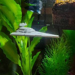 Jurassic Park Fish Decorations - Etsy