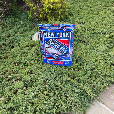 Philadelphia Eagles Garden Flag 12 X 18 by Justin Patten - Etsy