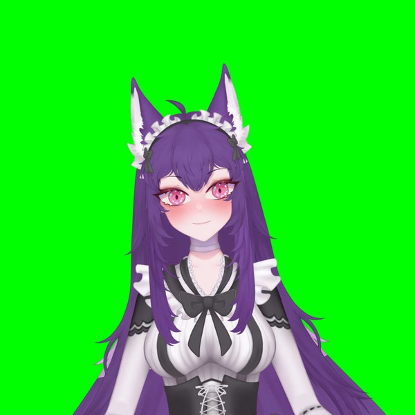 Customizable Vtuber Model (art & Rig) Premade - Etsy