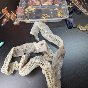 Snake Skin Shed Boa Constrictor - Etsy