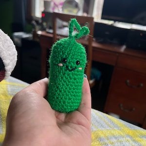 PATTERN ONLY, Easy Pickle Crochet Pattern, Instant DOWNLOAD - Etsy