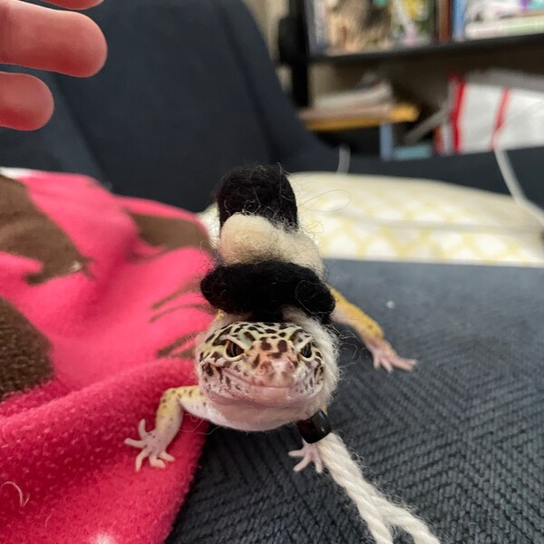 Leopard Gecko (and Other Lizard) Hats - Etsy