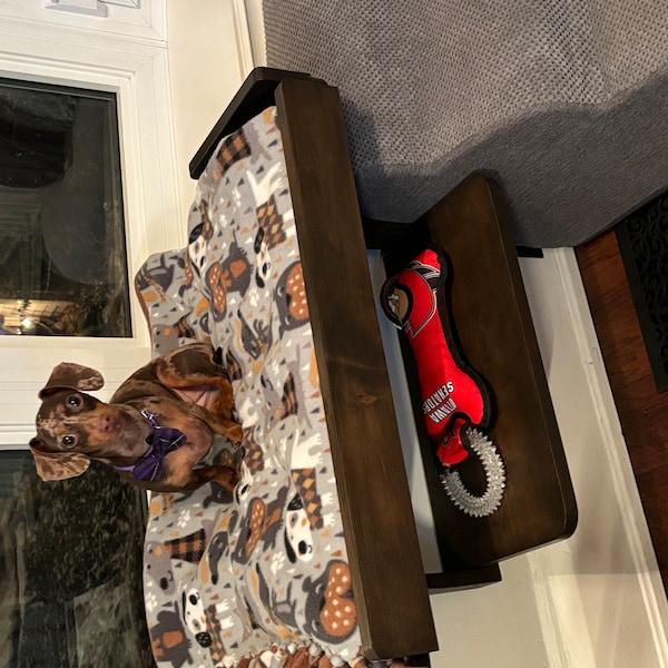 Dog Window Perch Wooden Dog Furniture Windowsill Natural Shelves - Etsy