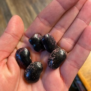 Green Shiso Seeds Ao Shiso Green Perilla Frutescens Ohba Ao | Etsy