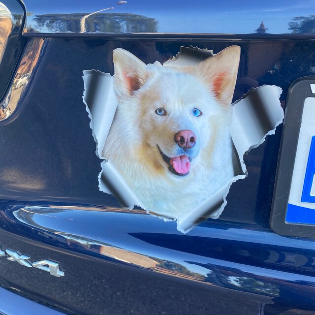 StickerstoDrive - Etsy