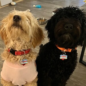 Personalized Pet Dog ID Tag With Name Cartoon Show Inspired Dog Tag ...