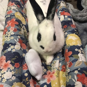 Bunny Snug Bed | Etsy