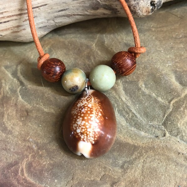 Snakehead Serpents Head Cowrie Cowry Shells Polished Rich Chocolate ...