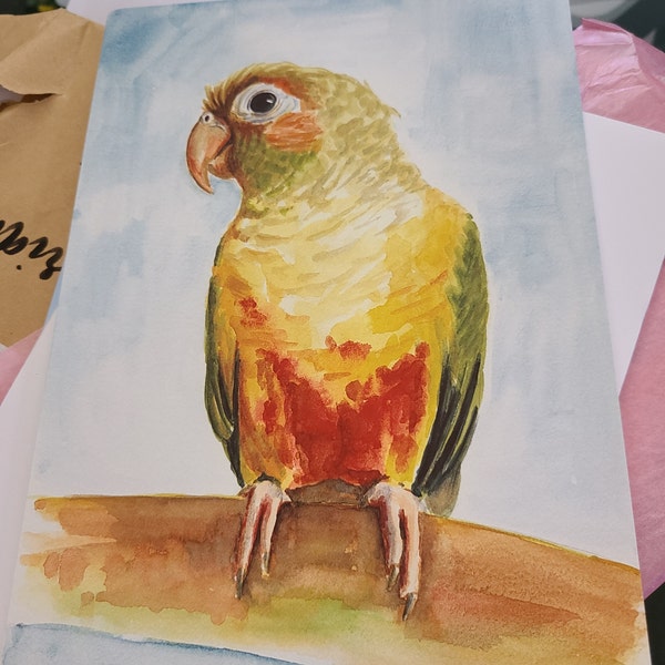 Conure Parrot Original Watercolor Painting Print - Etsy