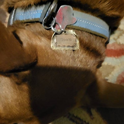 Large Dog Tag Personalized Pet ID Tag With Hand Stamped and Engraved ...