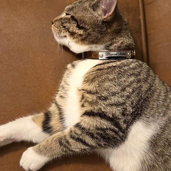 Leather Cat Collar With Name, Personalized Cat Collar, Engraved Custom ...