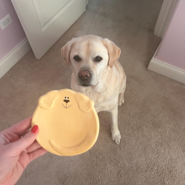 Labrador, Golden Retriever or Mix. These Happy Coffee Spoon Rests Are a ...