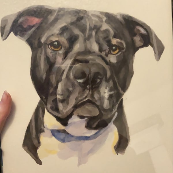 Custom Dog Portrait | Creative Dog Art | Unique Dog Gift | Happy Pet ...