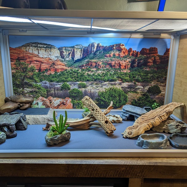 40 Gallon Red Rock Desert Background Petbackdrops - Aquarium Background ...