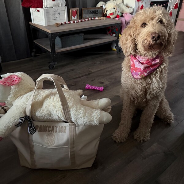 Monogrammed Pet Tote Bag: Personalized Dog Travel Kennel Bag - Etsy