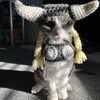 Brunhilde Vikings Valkyries Wagner Opera Hats for Cats - Etsy Canada