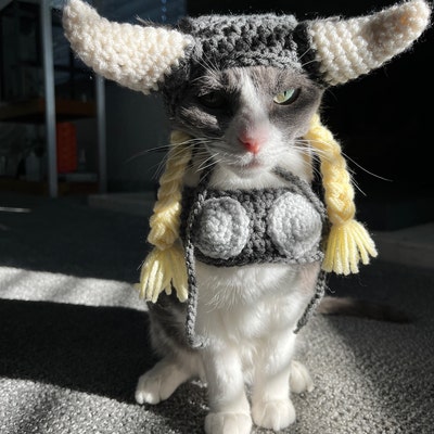Brunhilde, Vikings, Valkyries, Wagner Opera, Hats for Cats, Pet Hats ...