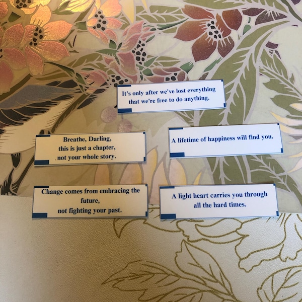 Fortune Cookie Sticker Mystery Bundle of 5 - Etsy