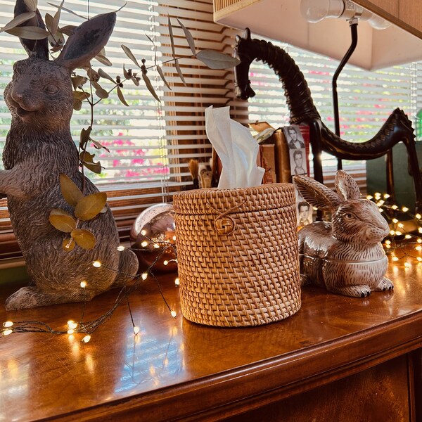 Seagrass Belly Basket Planter for Plantsman,indoor Planter Bohemian ...